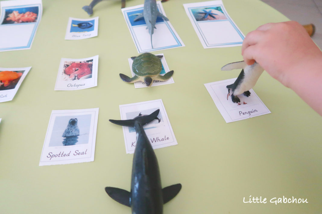 Nos activités préférées d'inspiration Montessori pour les 2 ans et plus